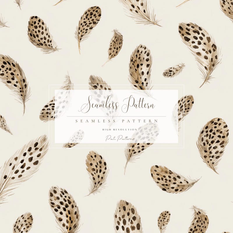 Zebra Feathers - Etsy