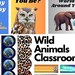 Classroom Décor Animals Wild Animal Print Posters Bulletin Borders ...