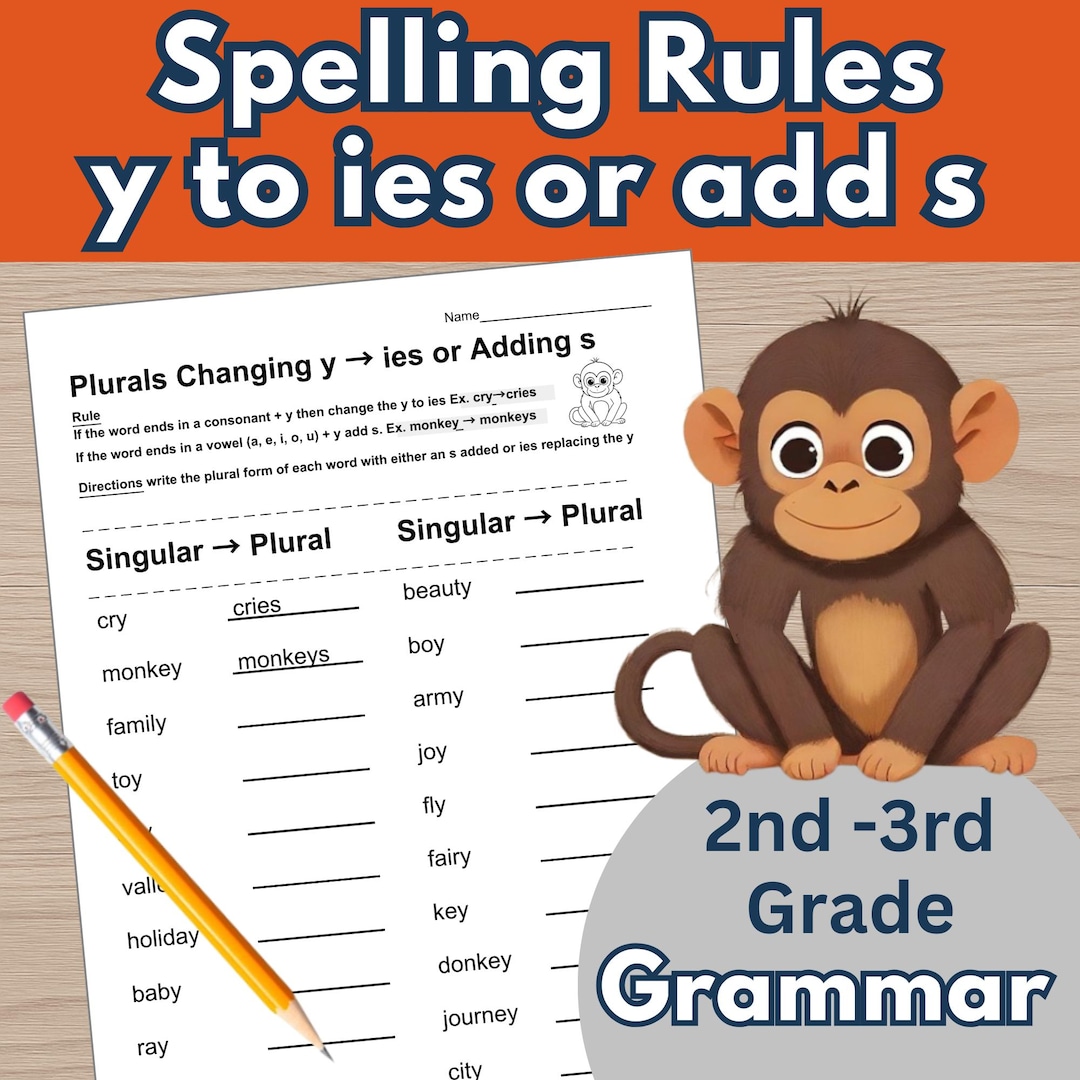 2nd Grade 3rd Grade Grammar Worksheet Singular and Plural Nouns S Ies ...