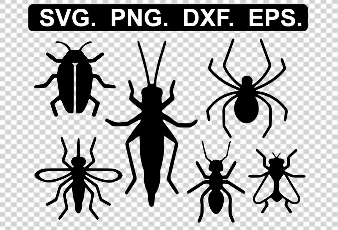 Bug Vector Graphic Insects SVG, DXF, Digital Download, Bugs Clipart PNG ...