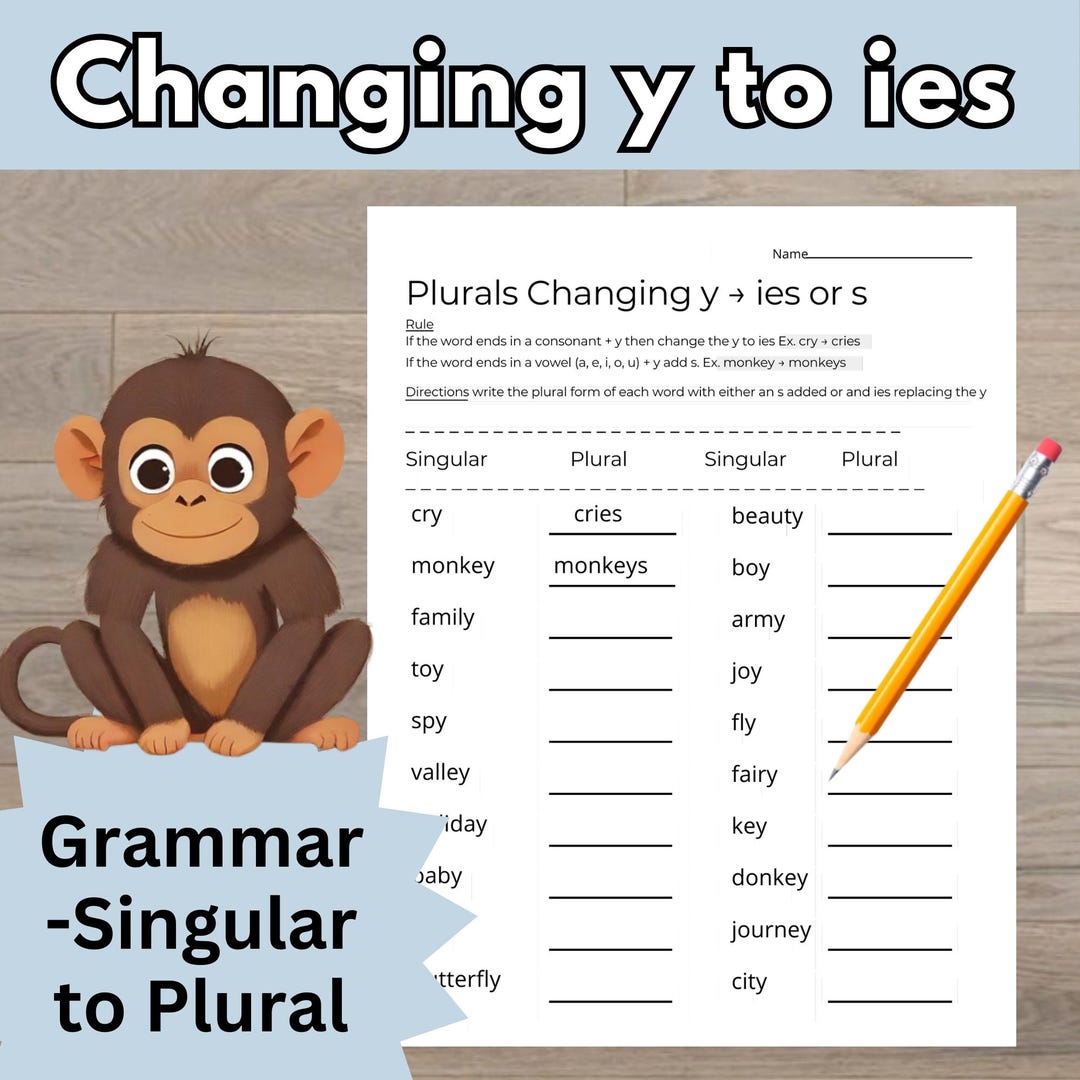Grammar Worksheet Changing Y to Ies Singular to Plural Grammar Practice ...