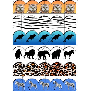 Bulletin Board Paper Borders Classroom Décor Wild Animals Zoo Animals ...