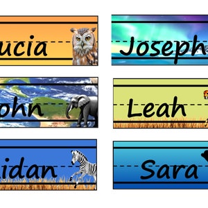 Classroom Décor Animals Wild Animal Print Posters Bulletin Borders ...