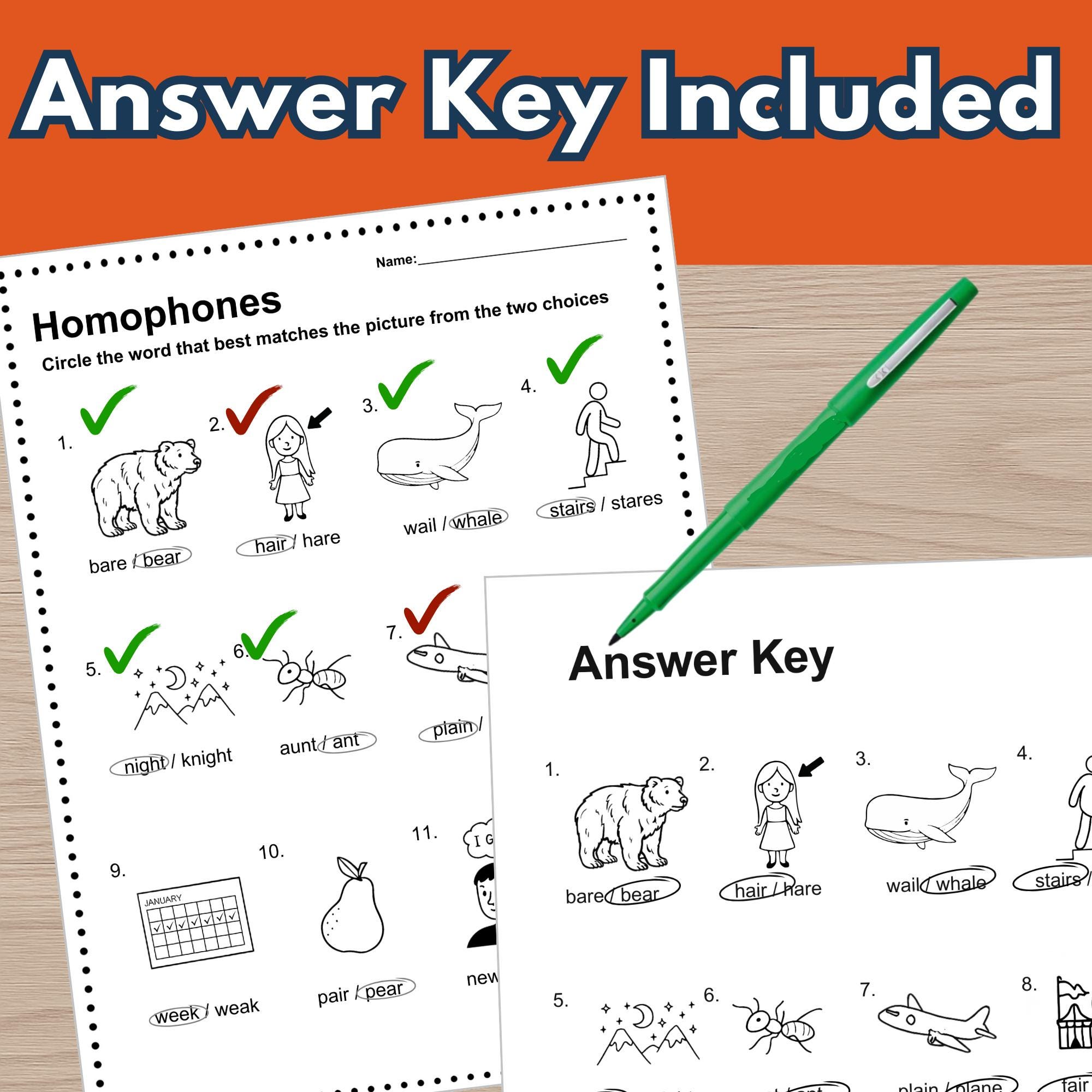 Homophones Worksheet Bundle 1st Grade 2nd Grade 3rd Grade Grammar ...