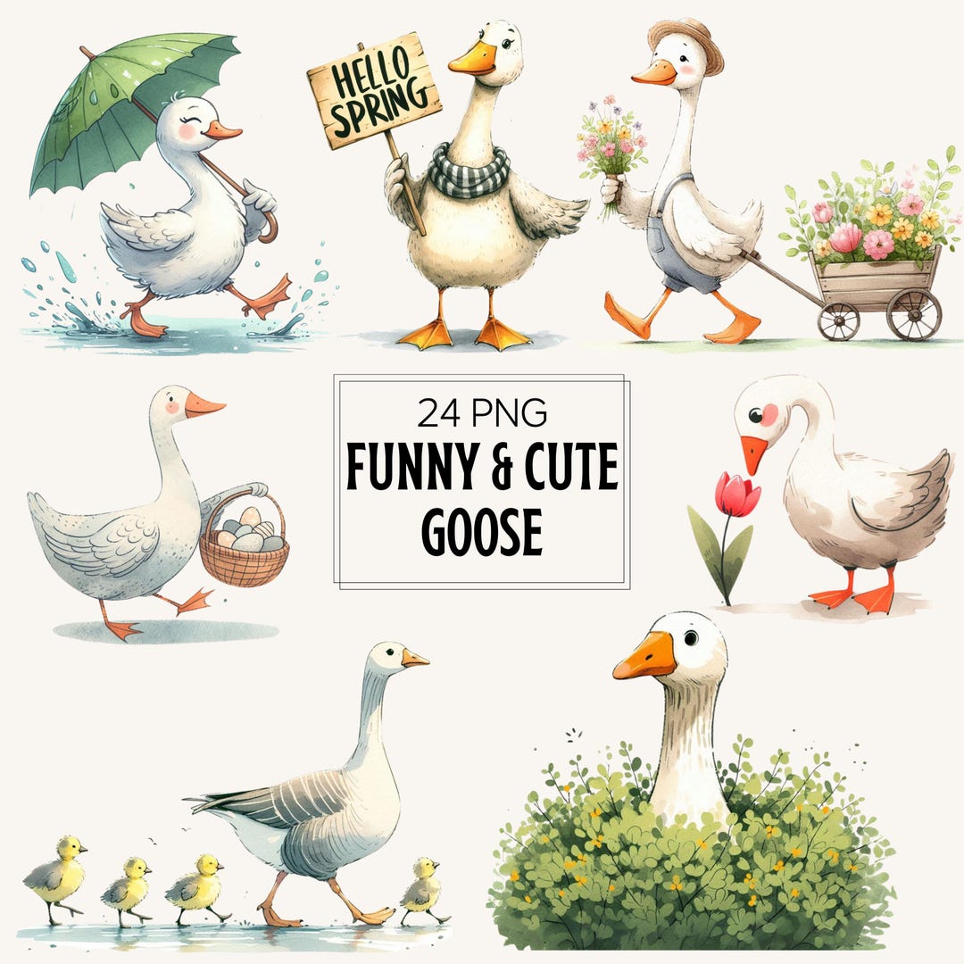 Funny Goose Clipart Bundle: Watercolor Silly Geese Pngs for Crafts - Etsy