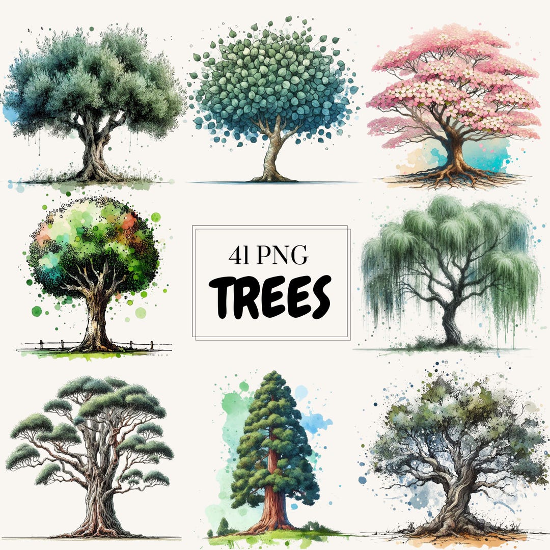 Watercolor Tree Clipart Bundle: 41 PNG & JPG Images (commercial Use ...