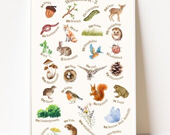 Woodland Colours Print, Digital Poster, Homeschool Poster, Playroom ...