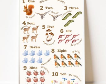 Woodland Colours Print, Digital Poster, Homeschool Poster, Playroom ...
