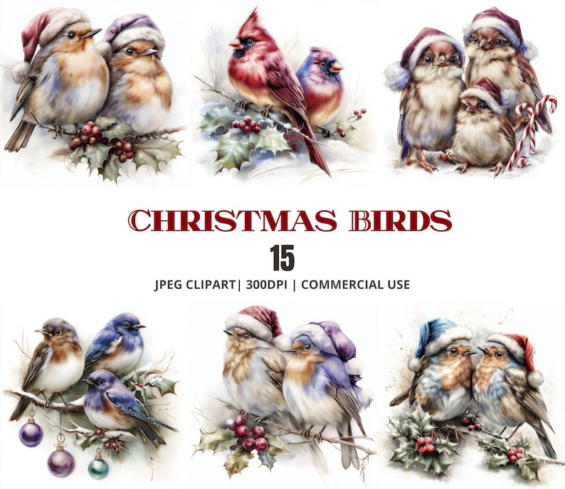 Cute Christmas Birds Clipart, Watercolor Winter Birds, Christmas Card ...