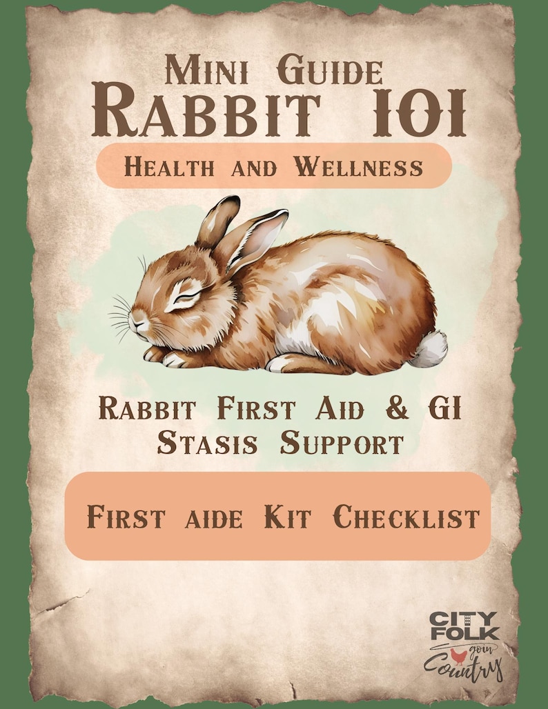 Rabbit First Aid Kit Checklist | Printable Emergency Supplies List ...