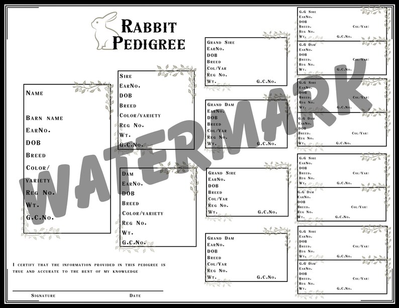 Rabbit Pedigree Printable | Editable PDF | Simple & Elegant Designs ...