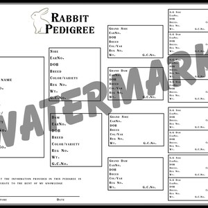 Rabbit Pedigree Printable | Editable PDF | Simple & Elegant Designs ...