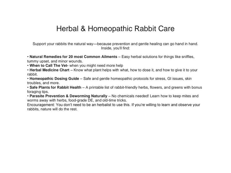 Herbal & Homeopathic Rabbit Care Guide | Natural Remedies, Safe Plants ...