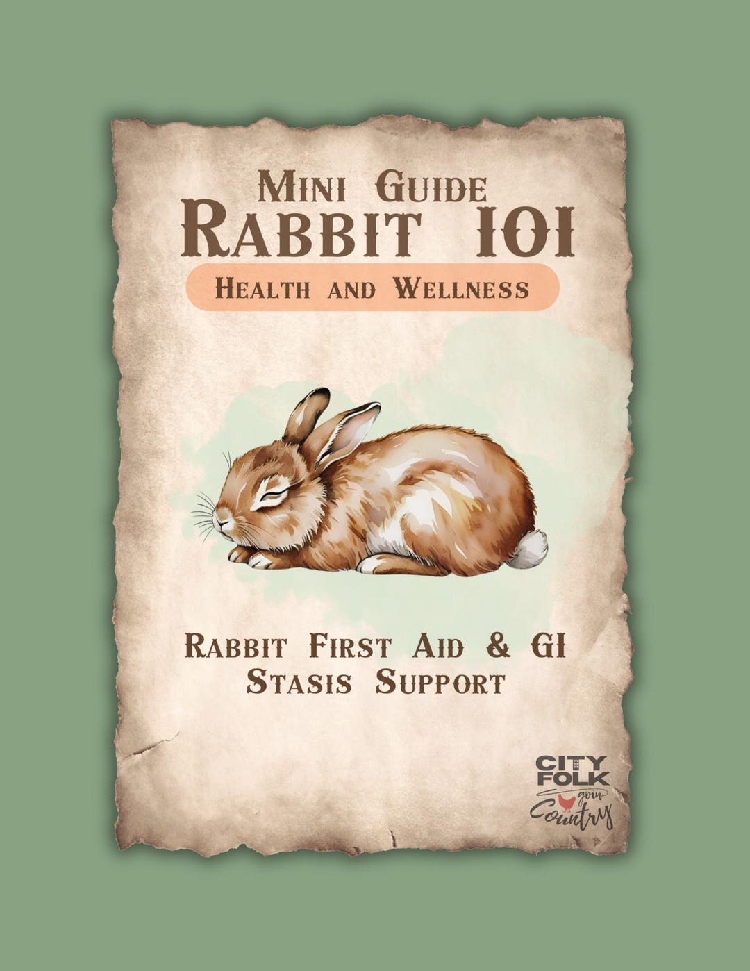 Rabbit First Aid and GI Stasis Guide PDF Emergency Care, Vital Signs ...