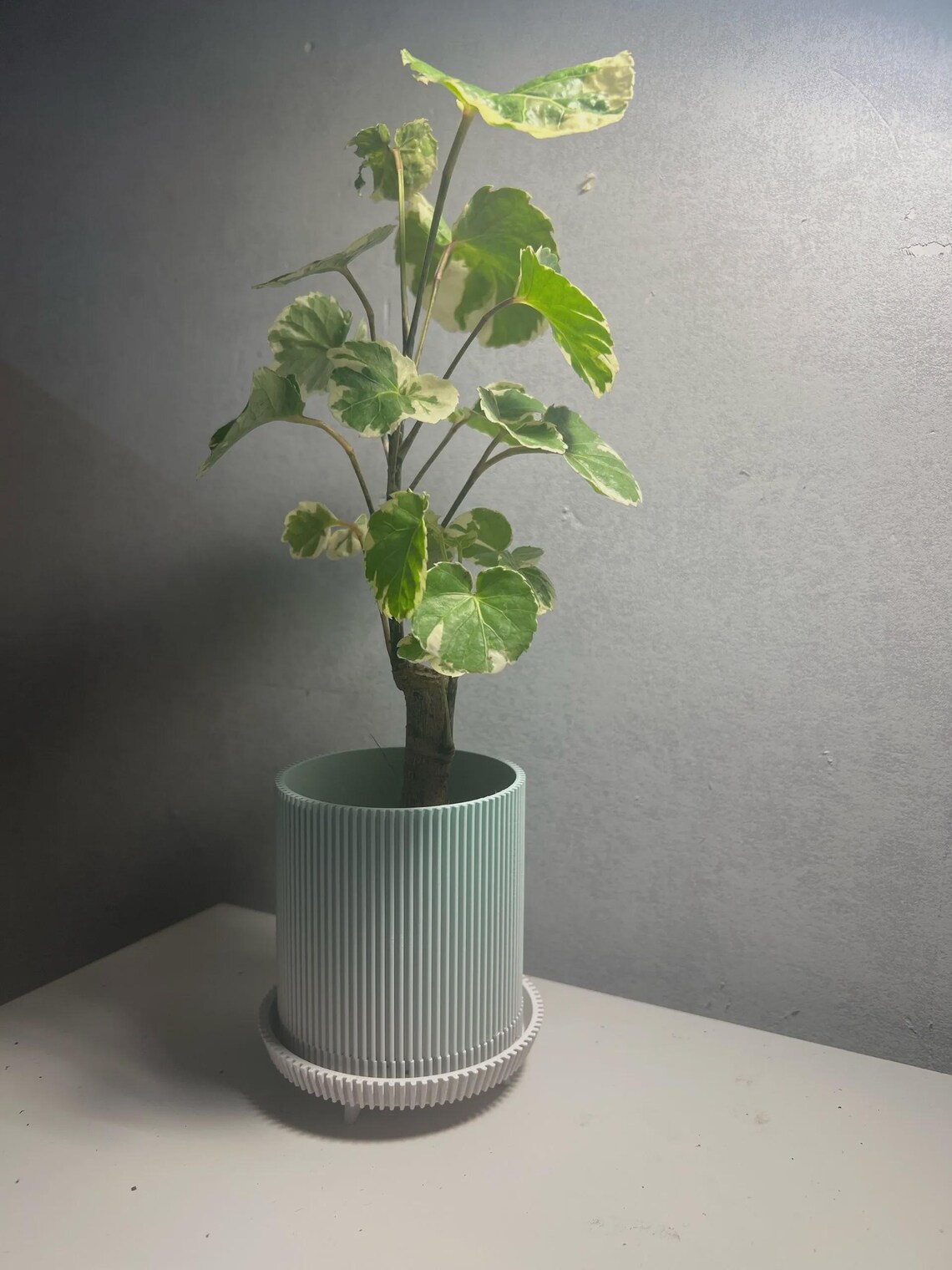 Modern Planter With Legs - Multiple Sizes - Multiple Color Options - Etsy