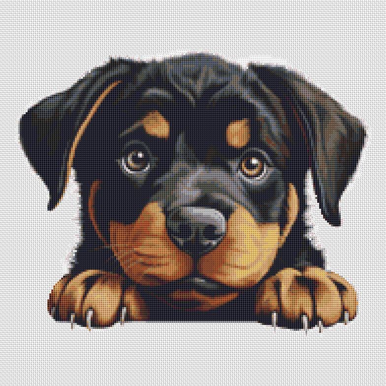Rottweiler Dog Cross Stitch Pattern PDF | Beginner Friendly Chart | 14 ...