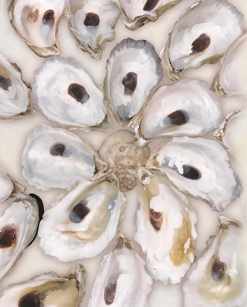 Large Oyster Shells for Crafts – 3 Inches and up – Any Quantity ...