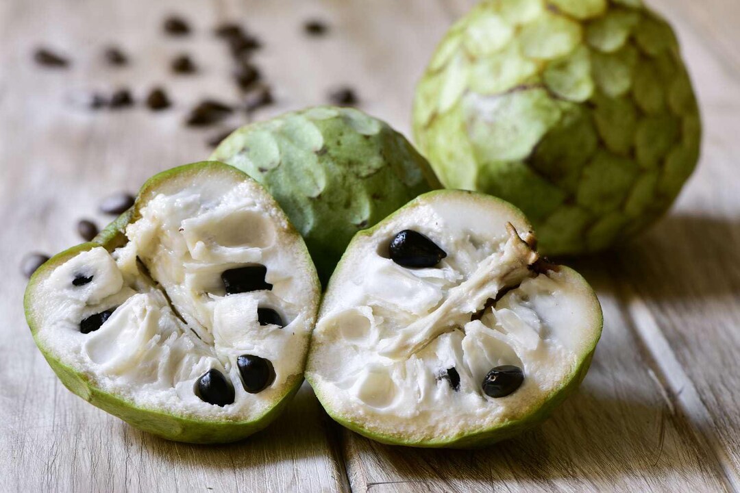 5 Pounds (6 to 10 Fruits) of Good Size Cherimoya, Freshly Harvested ...