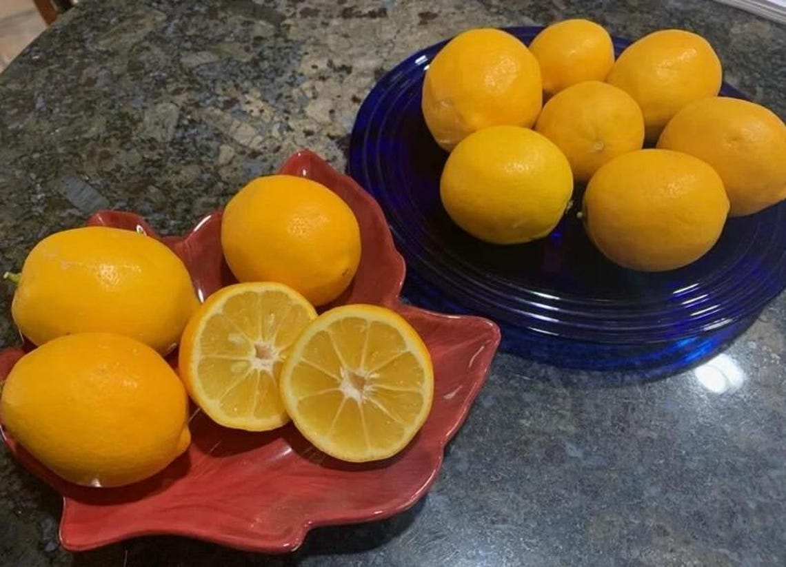 Freshly Picked Unwaxed Meyer Lemons , 8 Lbs Box ( 30 to 36 Pcs ) - Free ...