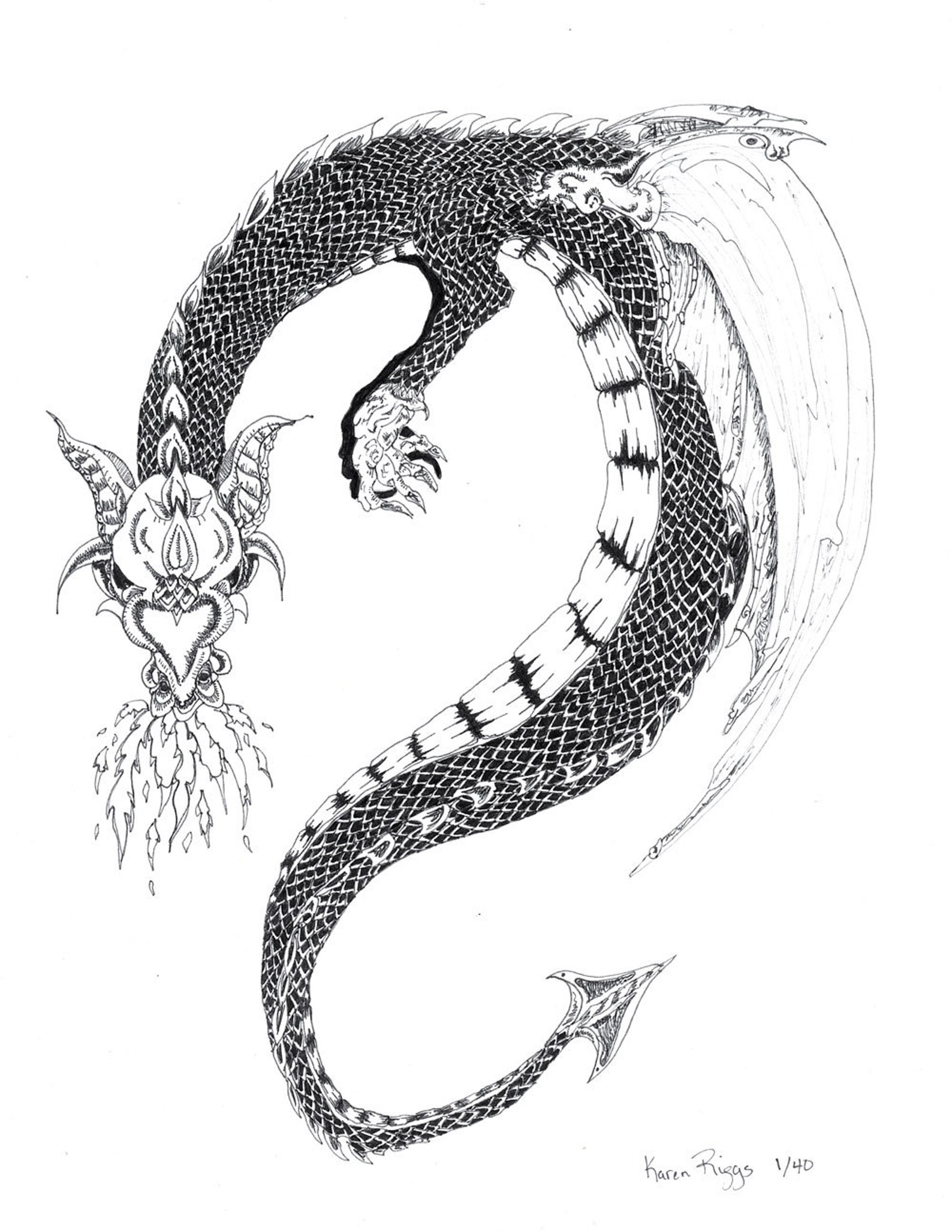 Limited Edition Dragon Print 8 1/2 X 11. Signed and Numbered 40 ...