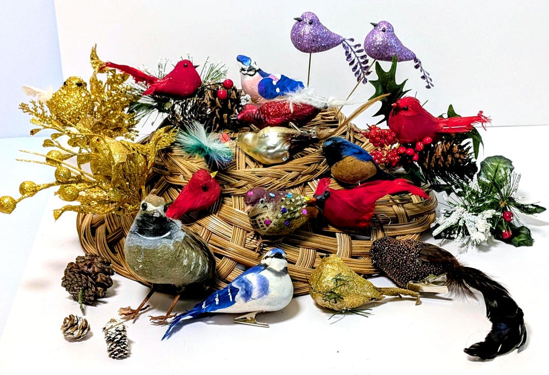 1960s–80s Bird Picks Craft Supplies & Ornaments – Cardinals, Blue Jay ...
