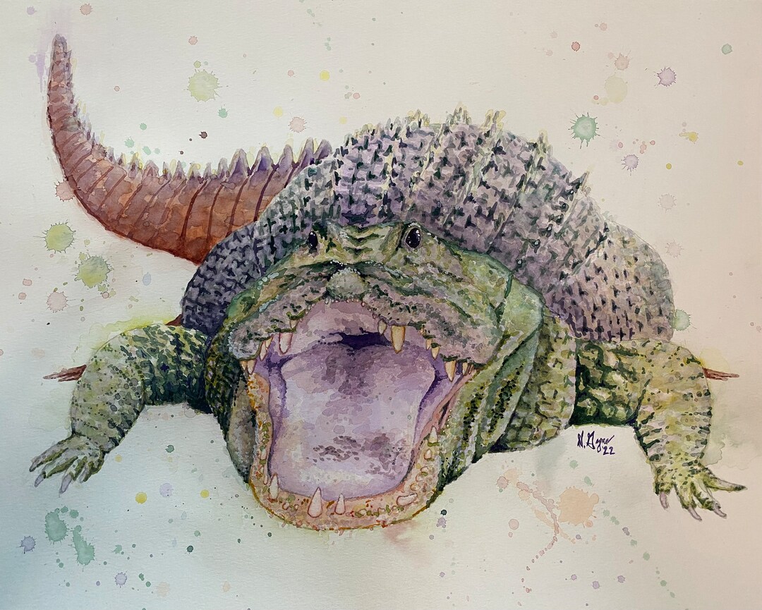 American Alligator Art Print, Wildlife Illustration - Etsy