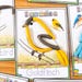 Birds Playdough Mats Printable, Preschool Fine Motor Activity, Bird ...