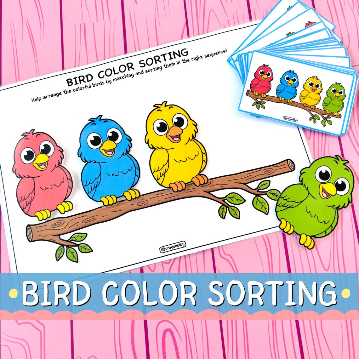 Bird Color Sorting Activity | Preschool Matching Game (digital Download ...