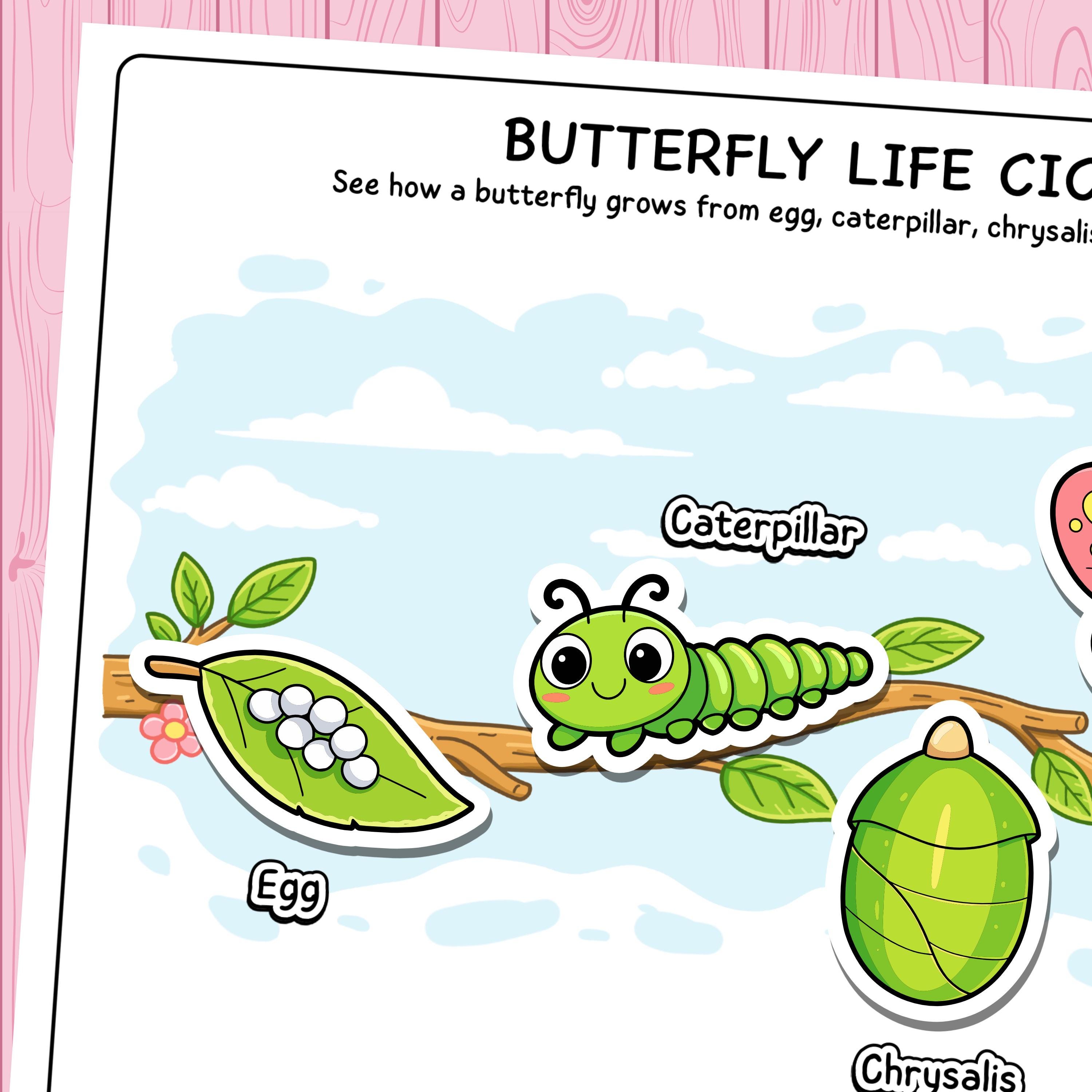 Butterfly Life Cycle Printable | Montessori Science Activity (PDF ...