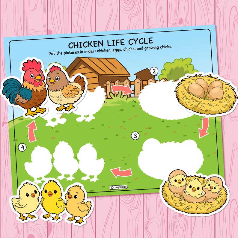 Life Cycle Printable Bundle | Frog, Butterfly, Chicken, Sunflower ...
