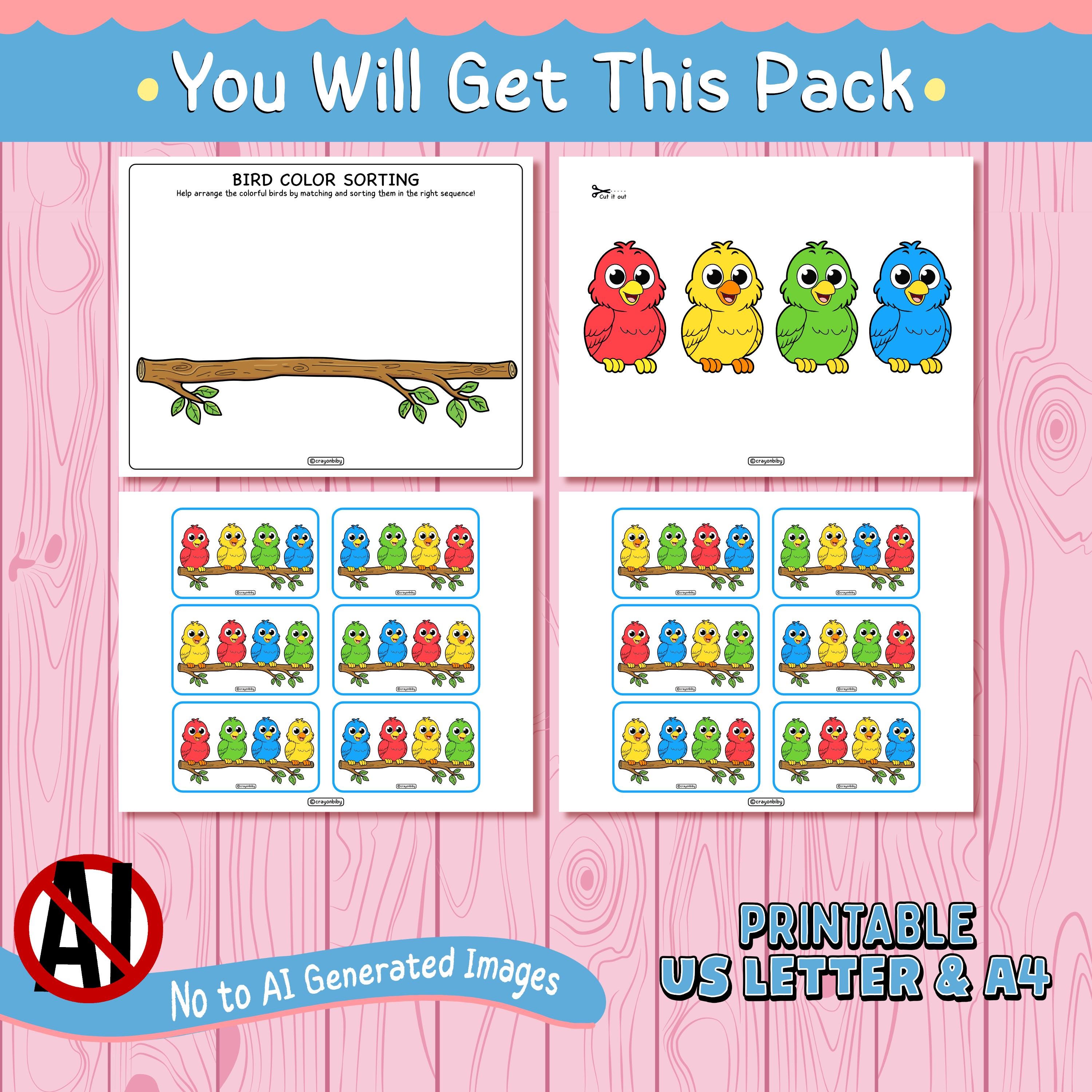Bird Color Sorting Activity | Preschool Matching Game (digital Download ...
