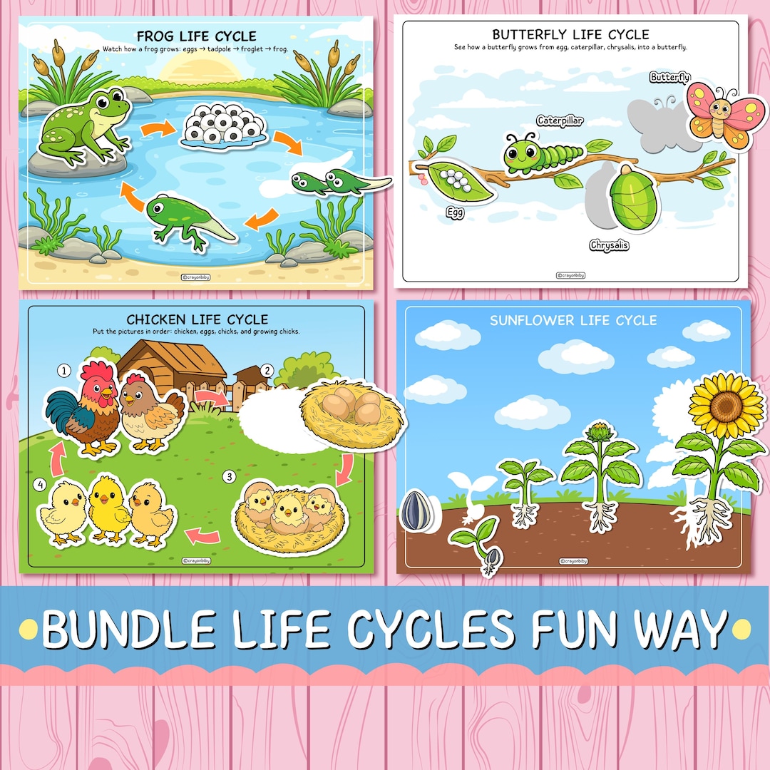 Life Cycle Printable Bundle | Frog, Butterfly, Chicken, Sunflower ...