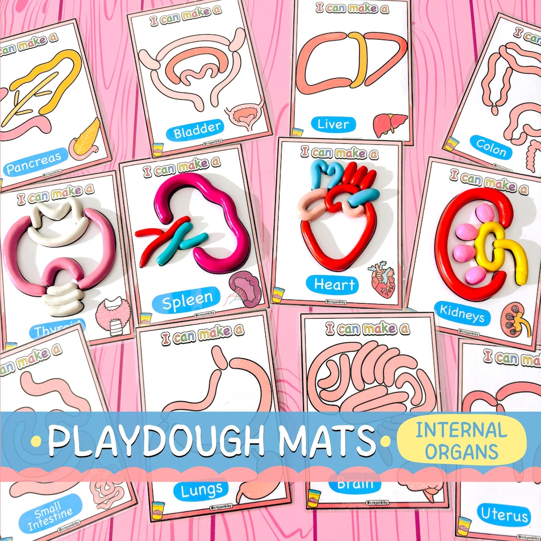 Internal Organs Playdough Mats | Human Anatomy, Montessori Homeschool ...