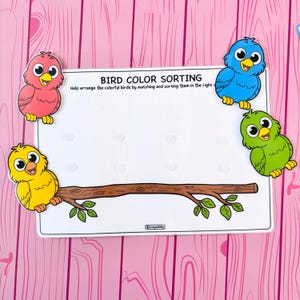 Bird Color Sorting Activity | Preschool Matching Game (digital Download ...