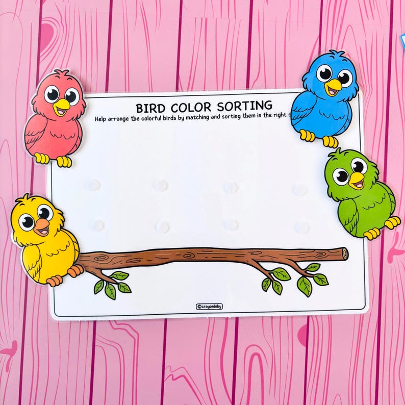 Bird Color Sorting Activity | Preschool Matching Game (digital Download ...