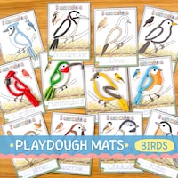 BIRD Skeleton Anatomy Poster, Labeling and Tracing Activity, Homeschool ...