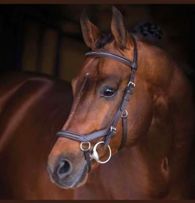 Hunter English Bridle – Plain Cavesson Noseband – Classic Leather Horse ...