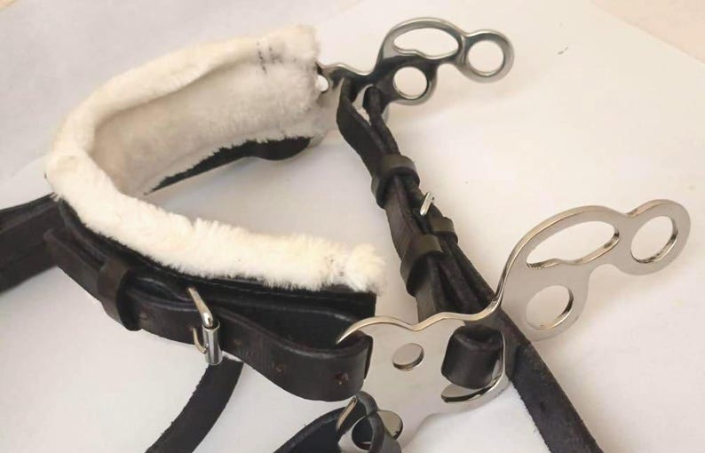 Bitless Hackamore Bridle – Sheepskin Noseband – Mechanical Hackamore ...