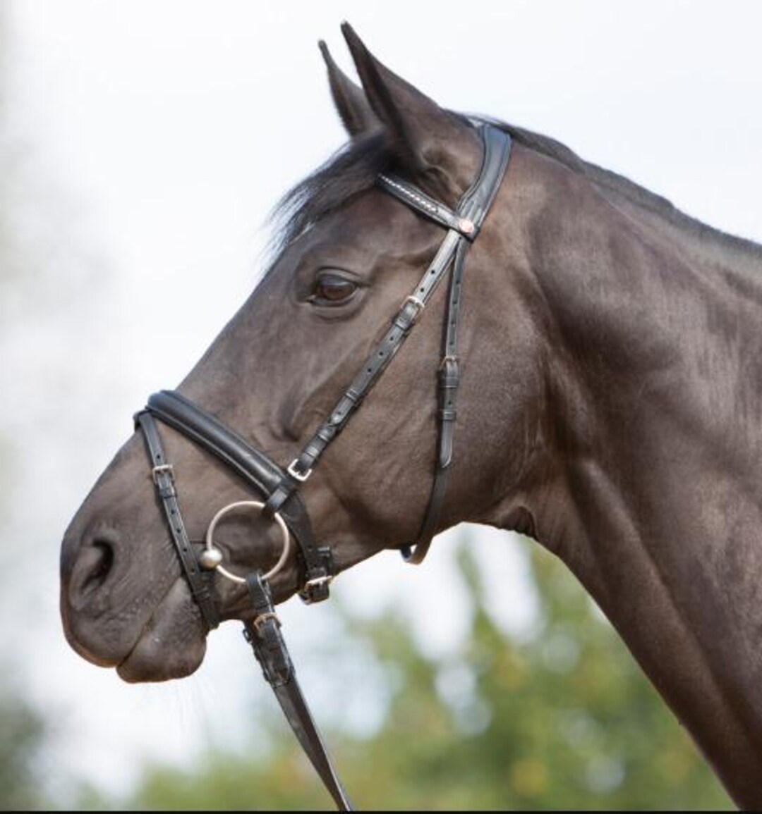English Horse Bridle With Flash Noseband | Black Leather Bridle for ...
