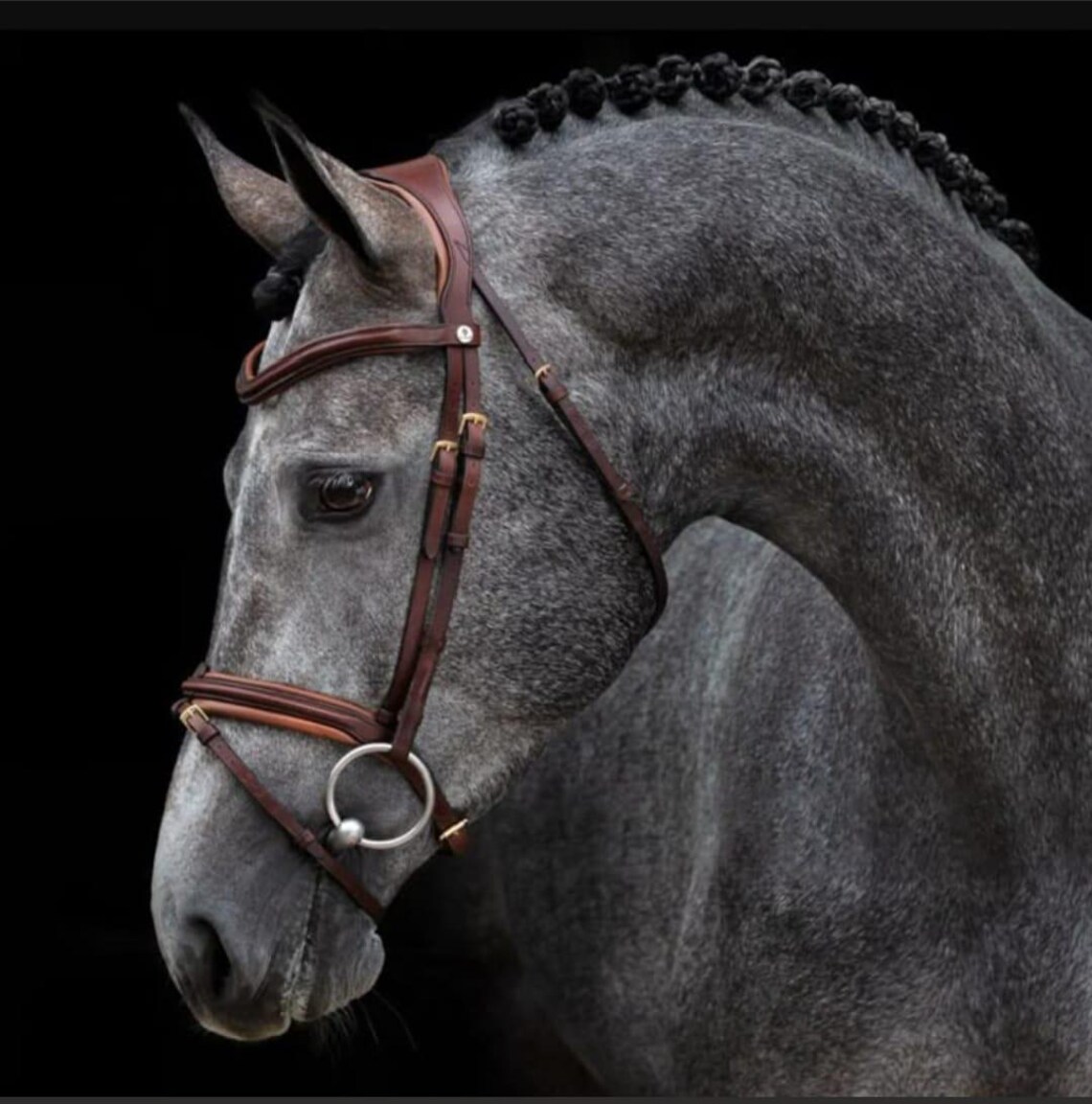Brown Leather Flash Bridle for Horses | Elegant English Bridle With ...