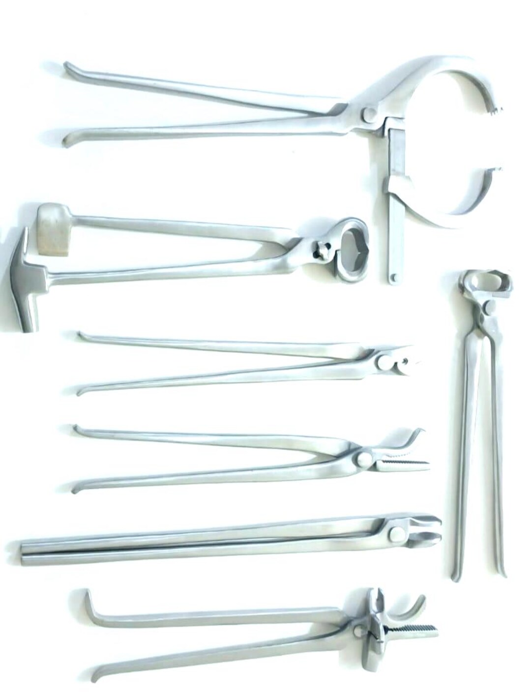 7-piece Farrier Tool Kit: Stainless Steel Horse Hoof Care Set - Etsy