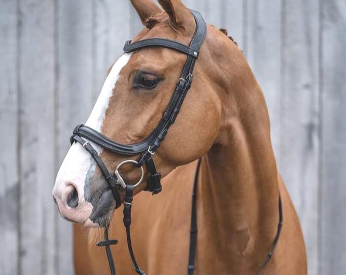 PDF Bridle Carry Bag Pattern - Etsy Canada
