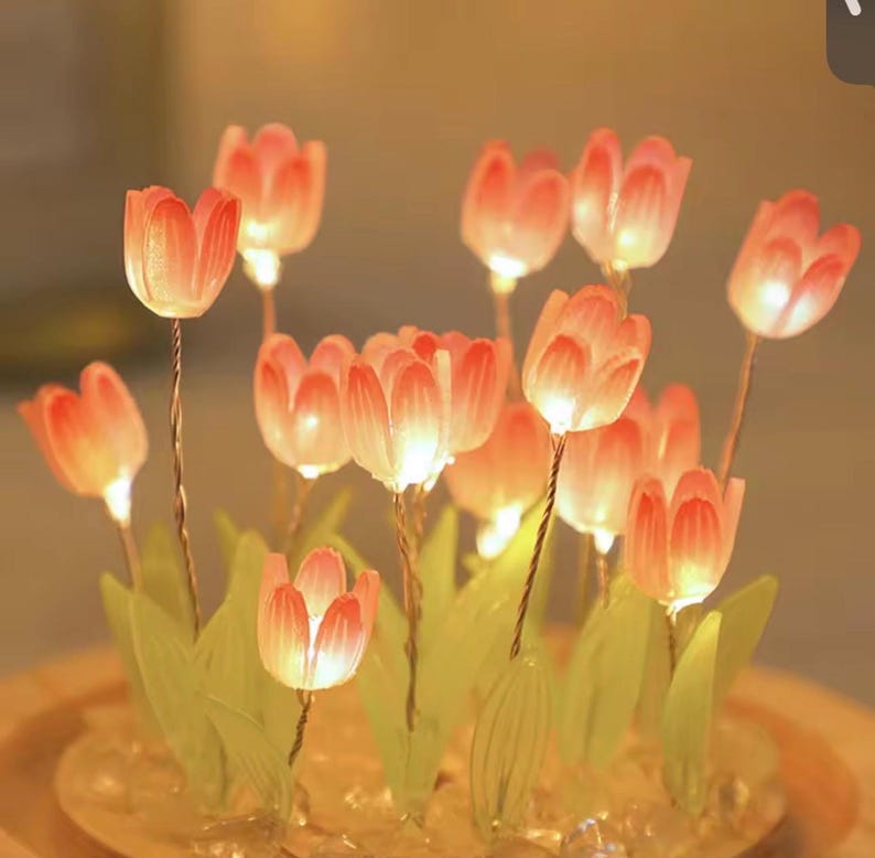 Tulip Night Light Lamp | DIY Flower Dome Decor (battery Operated) - Etsy