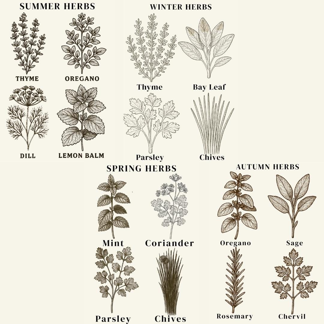 55 + Educational Posters, Vintage Style, Flash Cards & Tracing Tools ...