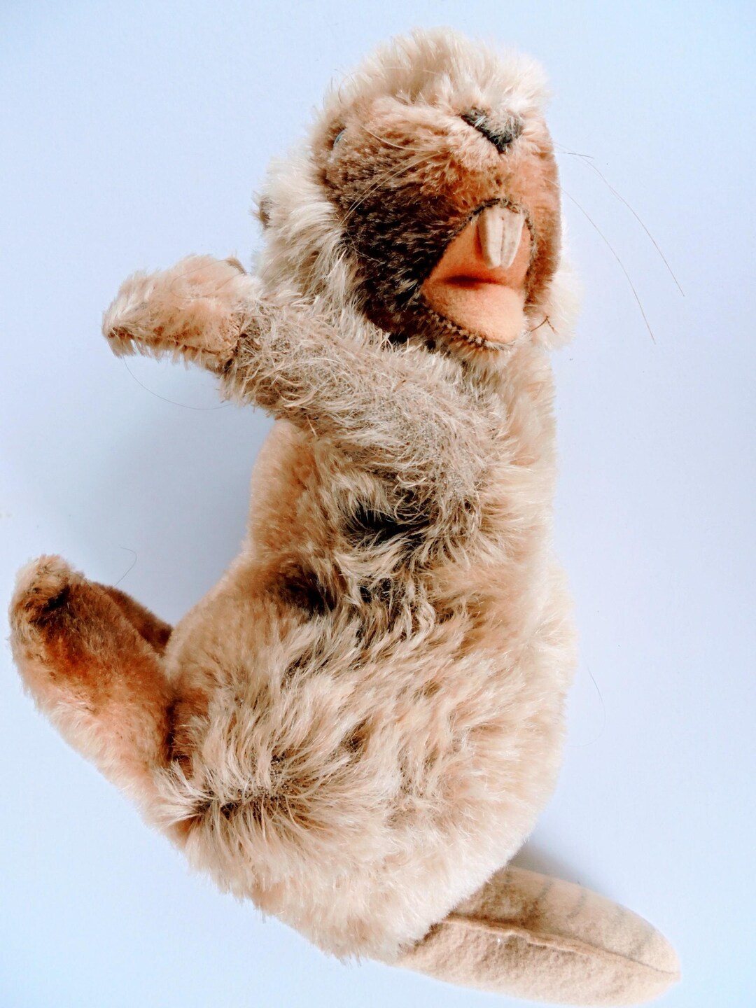 Vintage Steiff Beaver Nagy 66381 With Ear Stud and Part of Tag - Etsy