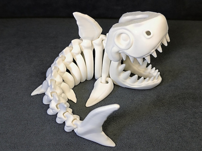 Flexible Shark Skeleton, 3D Printed Articulated Shark, Movable Shark ...