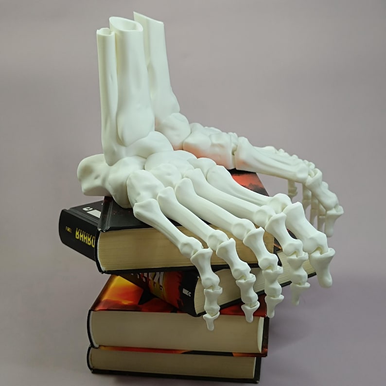 Skeleton Leg Prop: Life-size Articulated Halloween Decoration – 3D ...