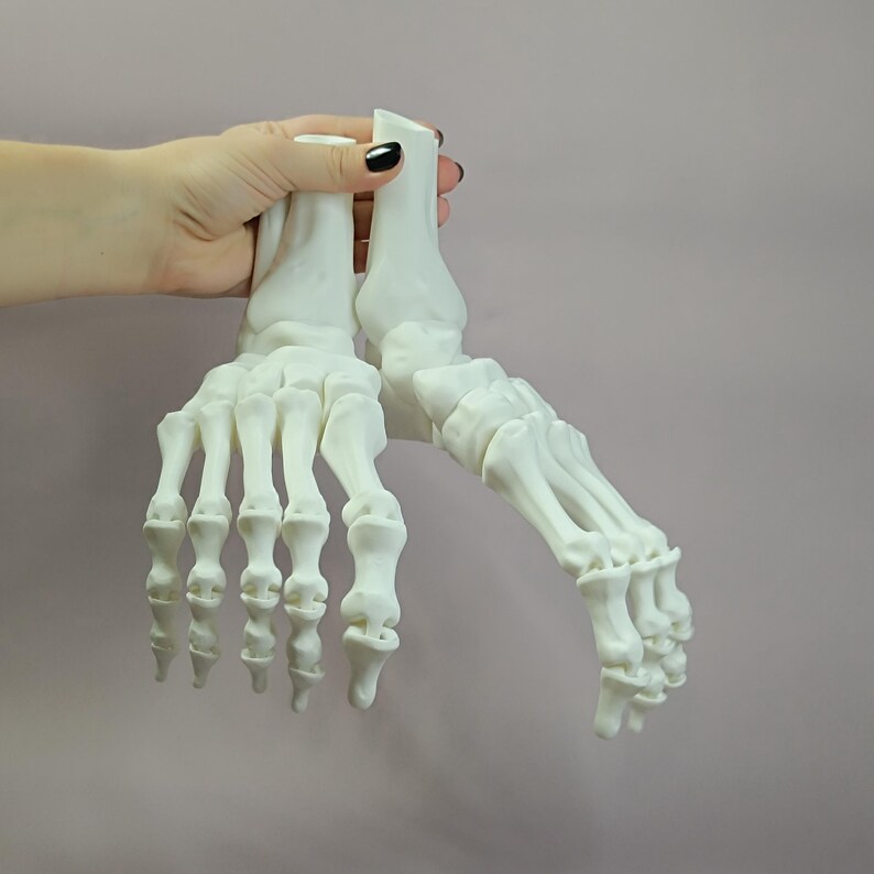 Skeleton Leg Prop: Life-size Articulated Halloween Decoration – 3D ...