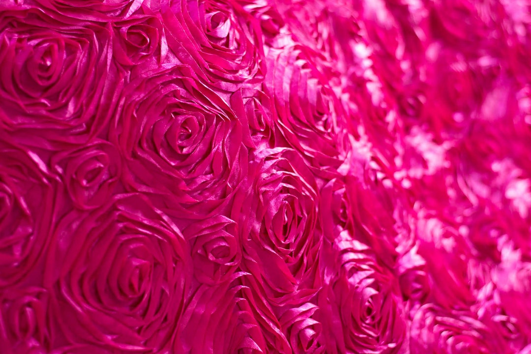 Raspberry Pink Rose Texture Photography Backdrop 5x6 - Etsy