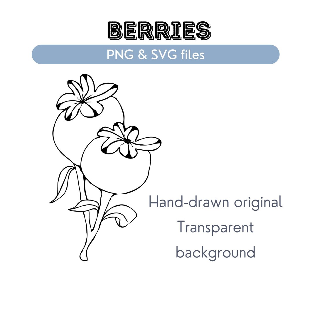 Hand-drawn Berries Graphic PNG SVG Flora Line Drawing for - Etsy